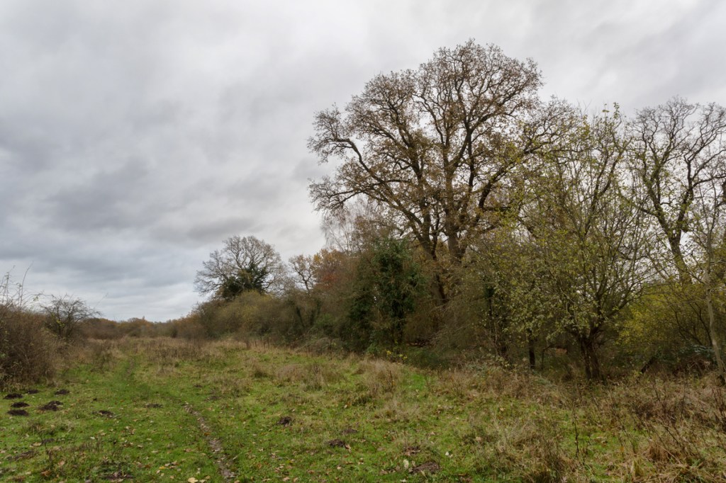 The Mile Cross Man | Musing about Mile Cross, local history, Railway ...